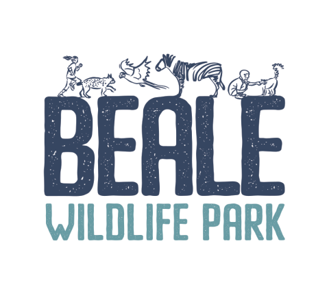Beale Wildlife Park | Family Fun & Conservation in Berkshire