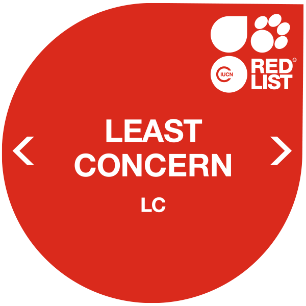 The IUCN Red List | Education at Beale Wildlife Park